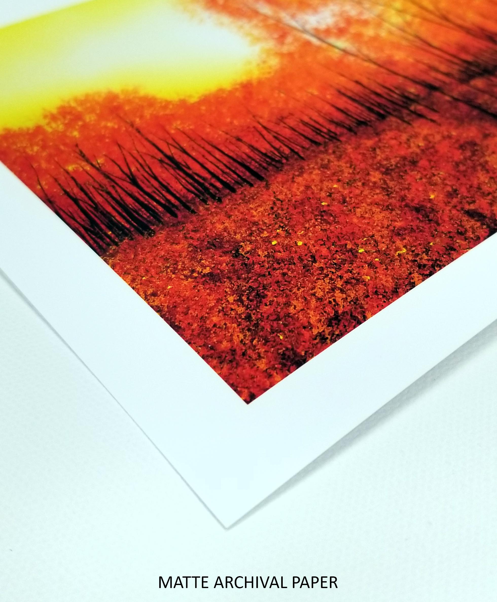Fine Art Photo Prints