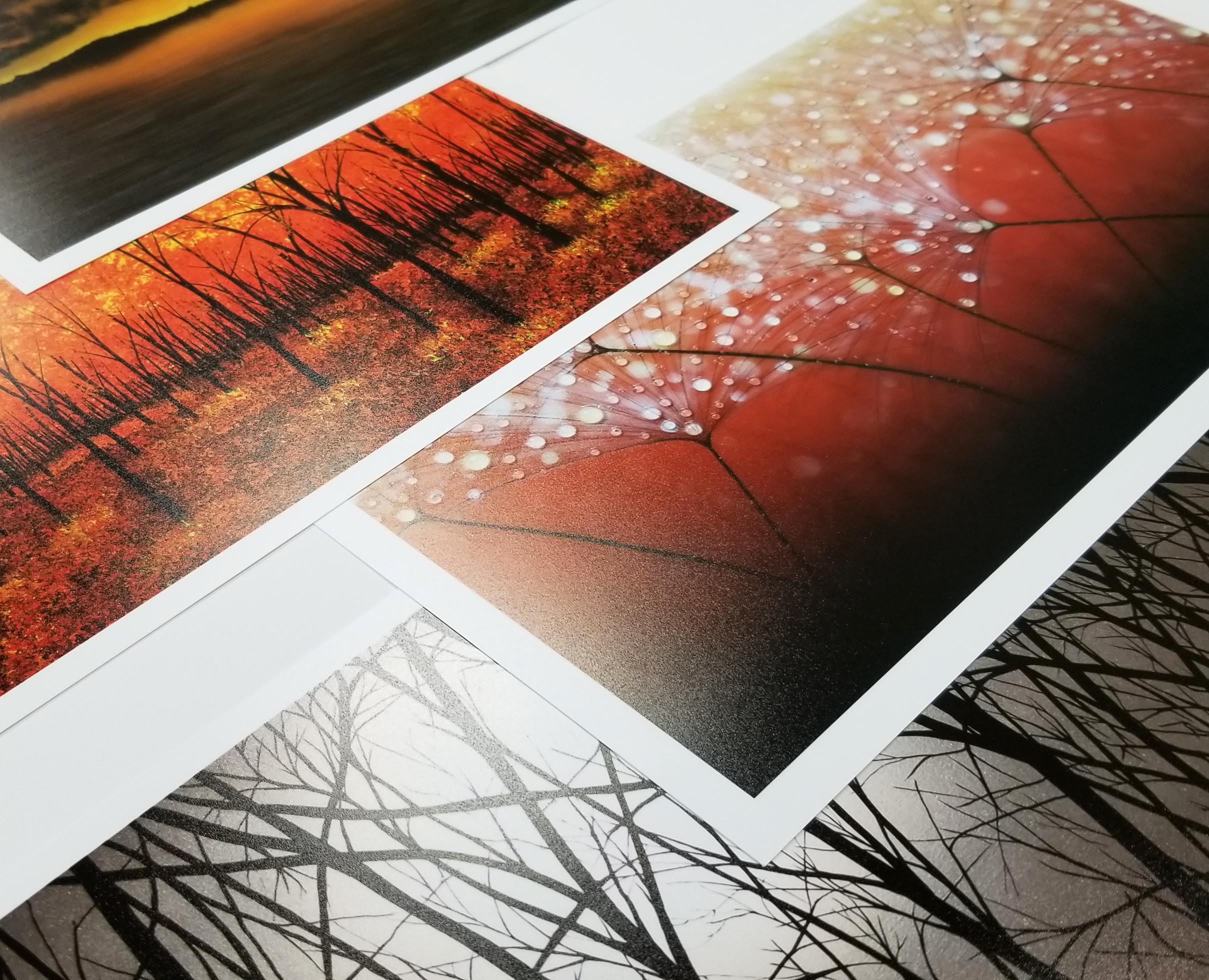 Fine Art Photo Prints